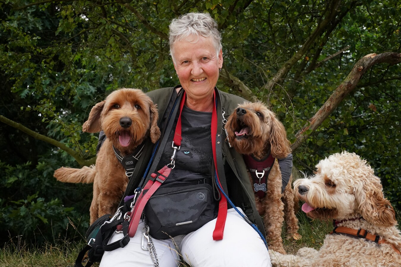 Willemien laat al vijftien jaar honden uit in de Soesterduinen: ‘Een ...