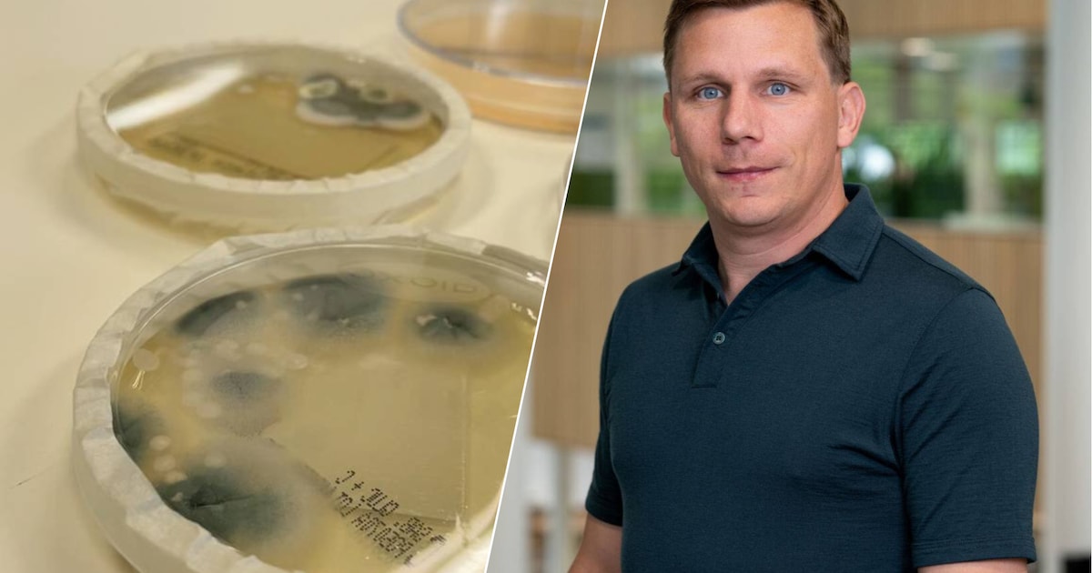 Kwetsbare patiënten in gevaar: door landbouw werken medicijnen tegen ...