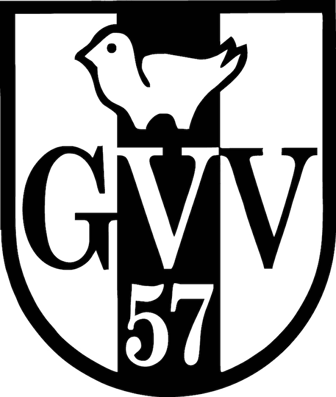 Portier verknalt debuut HBV-trainers | Sport | De Gelderlander.nl
