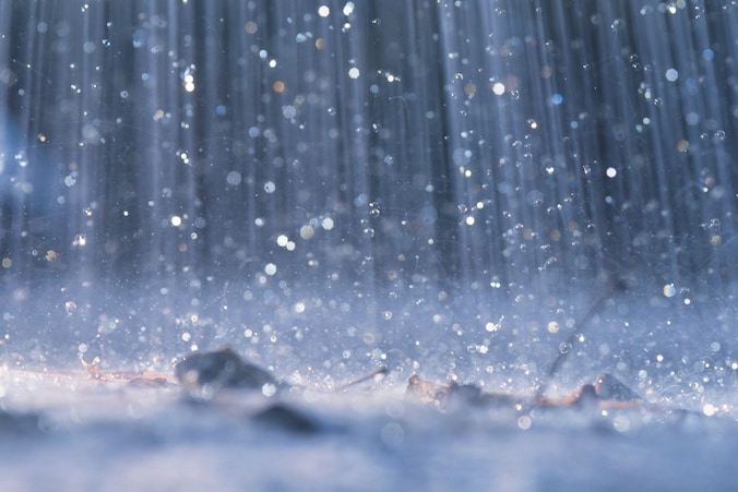 Venlo biedt subsidie voor regenwaterafkoppeling | Regio | De ...