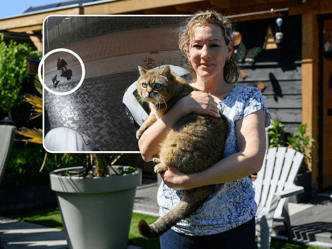 Agnes zag op camerabeeld hoe kater Donny in auto werd meegenomen: ‘Ik ...