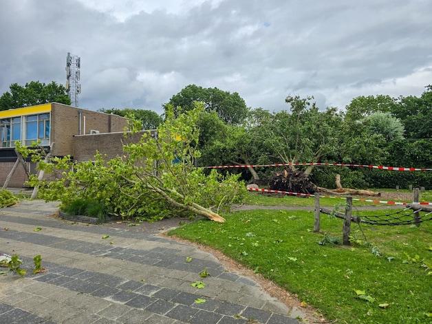 ‘Kortdurende tornado’ trekt spoor van vernieling door Glanerbrug ...