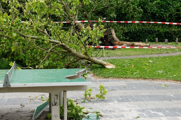 ‘Kortdurende tornado’ trekt spoor van vernieling door Glanerbrug ...