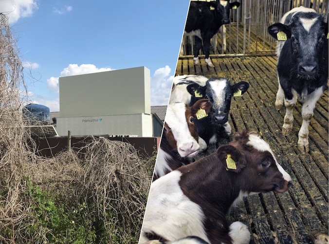 Stikstofcrisis? Gelderland geeft weer steeds vaker groen licht voor ...