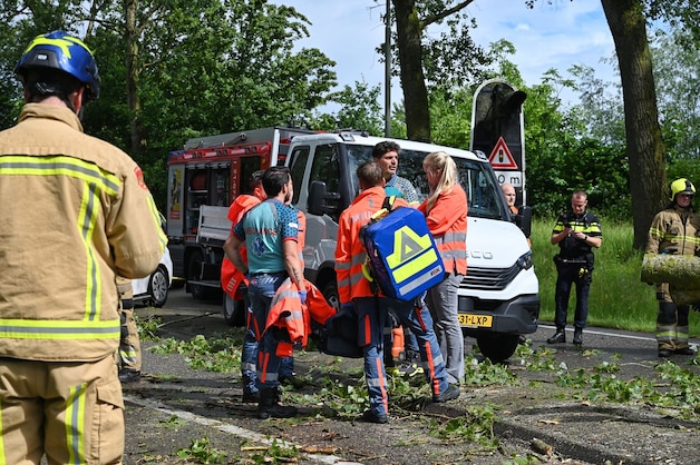 45-jarige man uit gemeente Buren komt om het leven als boom op auto ...
