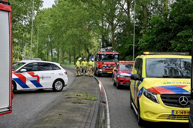 45-jarige man uit gemeente Buren komt om het leven als boom op auto ...