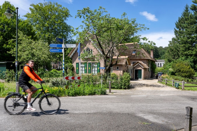 Onkruid tussen de stenen en overspannen ambtenaren: Kan Rozendaal ...