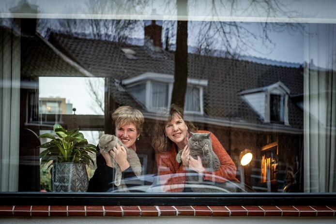 Raamkatten ontkomen niet aan de camera van Hanneke en Jantine: ‘Dat is ...