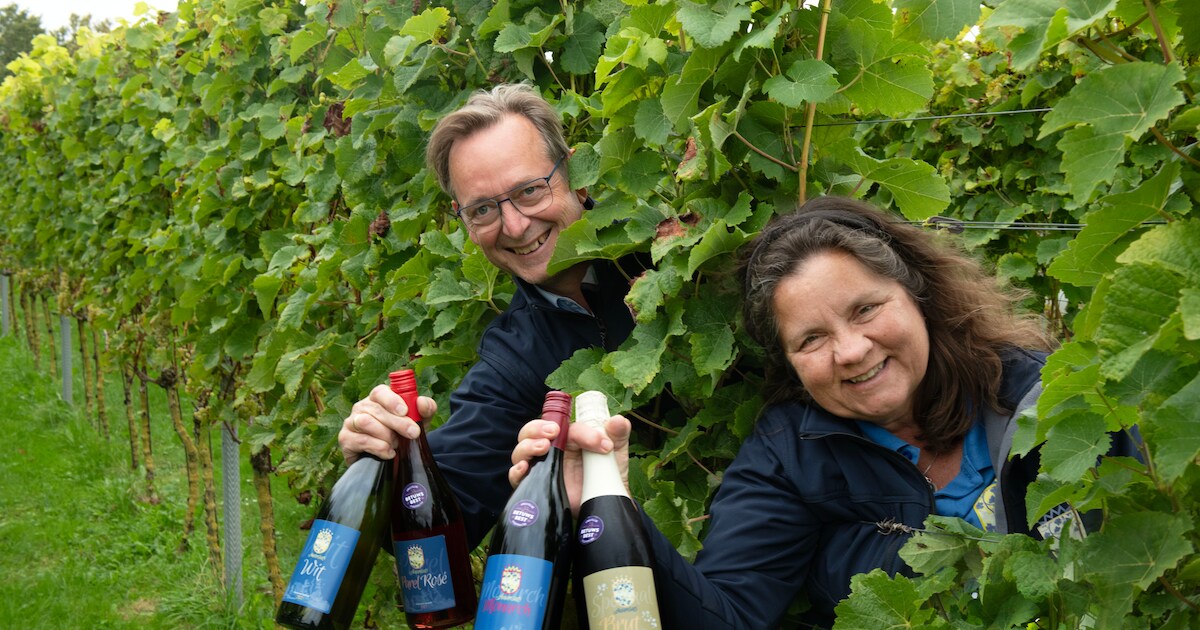 Van de Catalaanse zon naar de Betuwse klei, maar Karin en Jan verbouwen ...