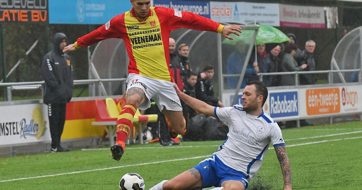 Davelaar naar GVVV | Sport | De Gelderlander.nl