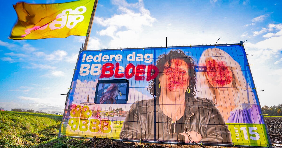 ‘BBBloed’, verkiezingsborden beklad langs de snelweg: ‘Daar moet je met ...
