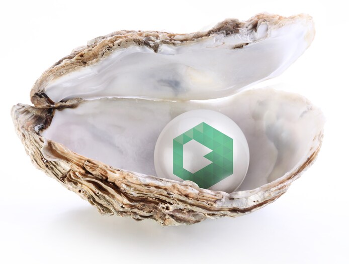 Dit bedrijf uit Duiven is winstgevender dan ASML met een omzet van 579 ...