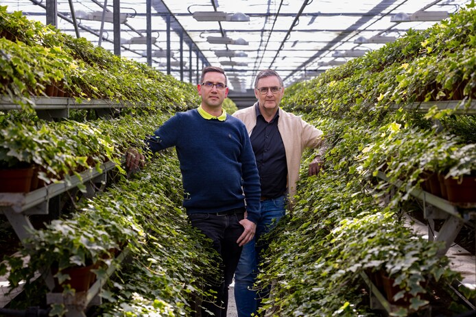 Netbeheerder pakt deze kweker aan: ‘We overleven het anders niet ...