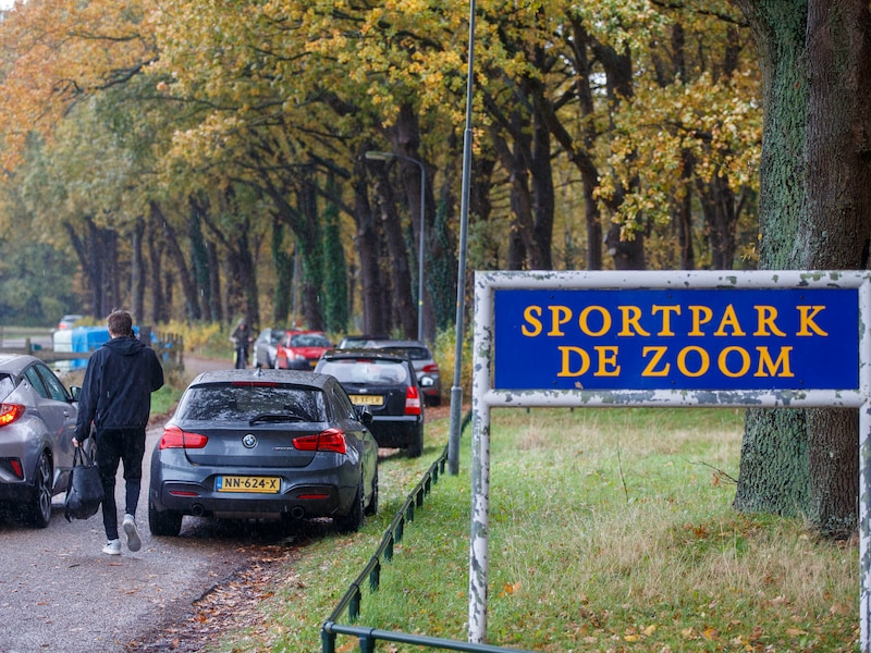 Alleen de naam ‘zwarte pad’ jaagde mij al angst aan | Regio | De ...