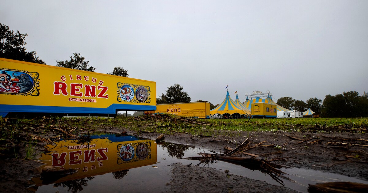Grond op Berkendonk is te nat voor circus, Helmond biedt zelf ...
