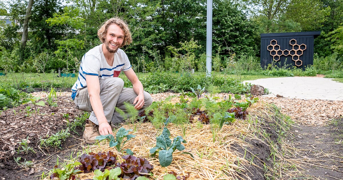 Bob ter Haar is de nieuwe stadsdichter van Wageningen | Wageningen ...