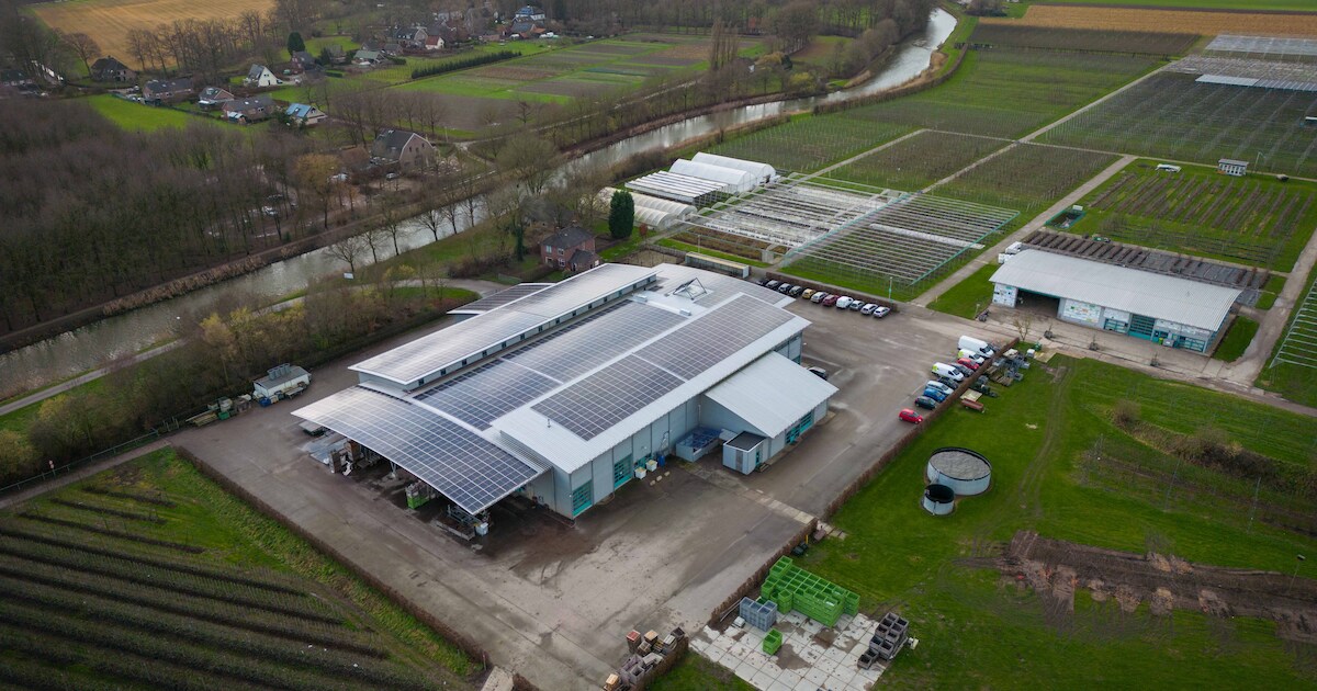 Dertig jaar oude strijd in de Betuwe laait op: landgoed Hemmen baalt van buurman in Randwijk ...