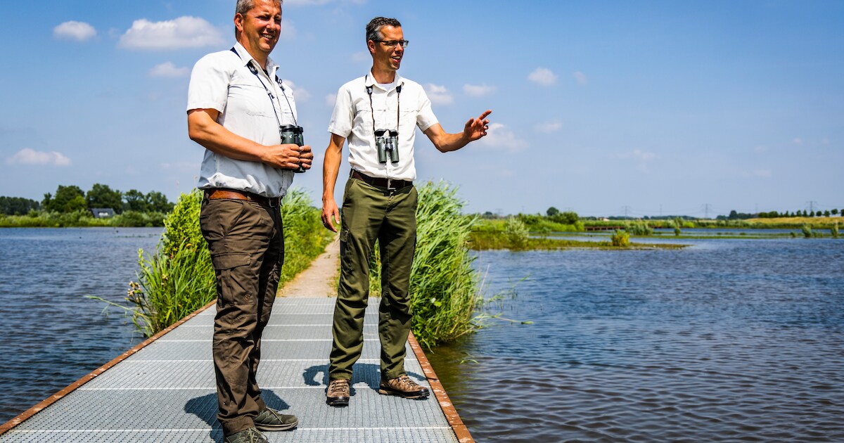 Topnatuur aan de rand van de stad: ‘De roerdomp zit hier gewoon vlak ...