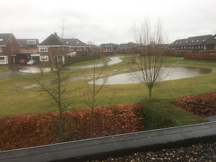 Weer gedonder in Duiven over de aanleg van een hondenlosloopterrein, nu ...