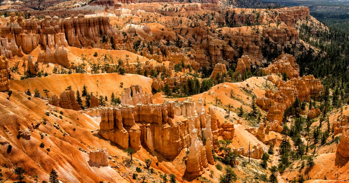 Man en vrouw overlijden na val van ruim 100 meter in Amerikaans ...