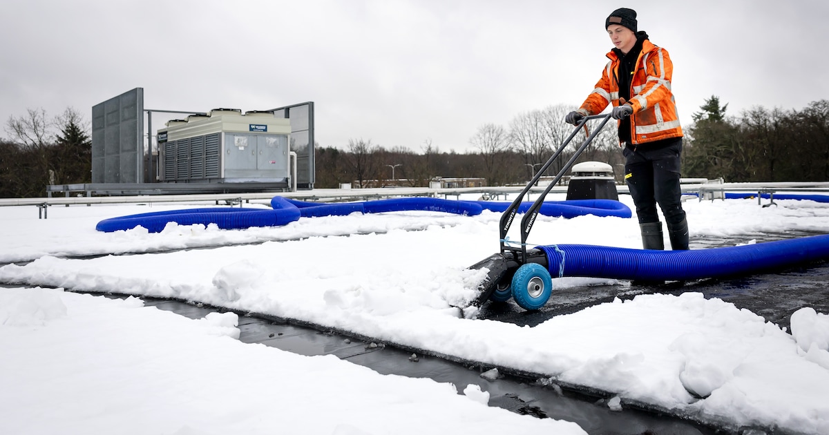 Teruglezen | Sneeuwpret en gladheid voorbij: code groen terug in ...