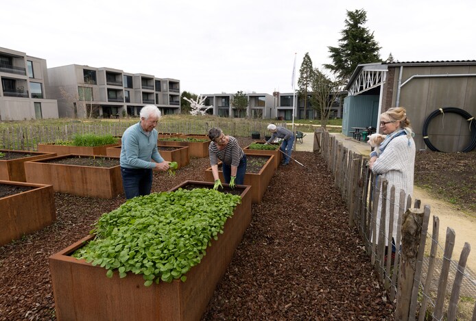 Deze gebouwen in de Achterhoek maken kans op belangrijkste ...