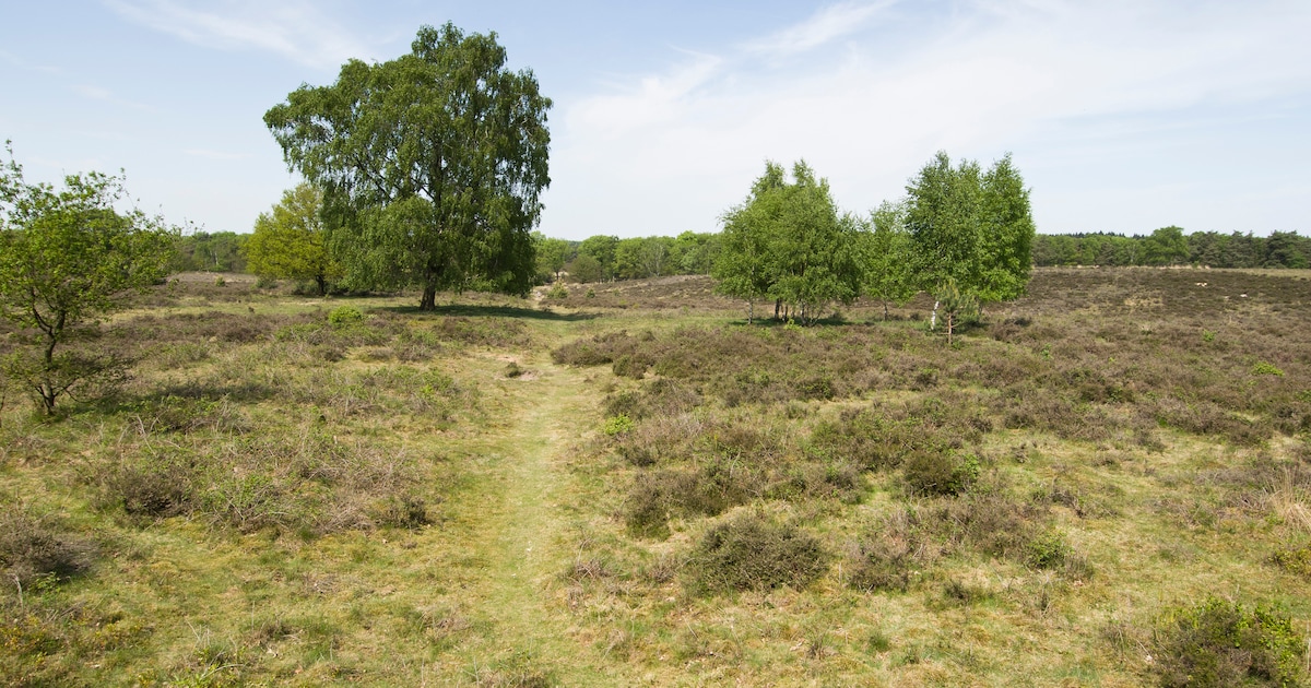 Provincie wil 68 hectare landbouwgrond omvormen tot natuur om ...