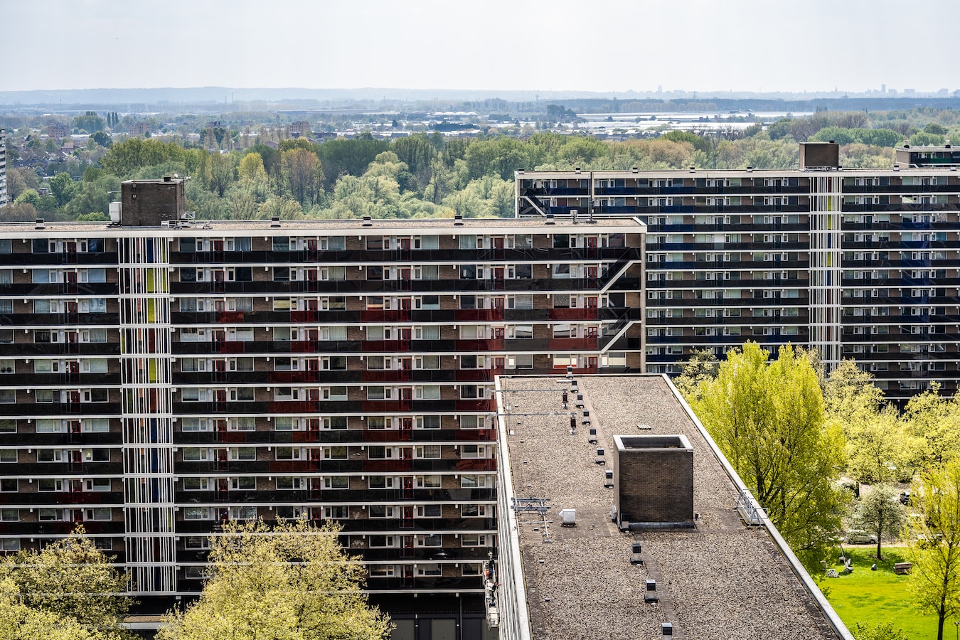 Schulden van 40 gezinnen in armste wijk Arnhem helemaal afgekocht ...