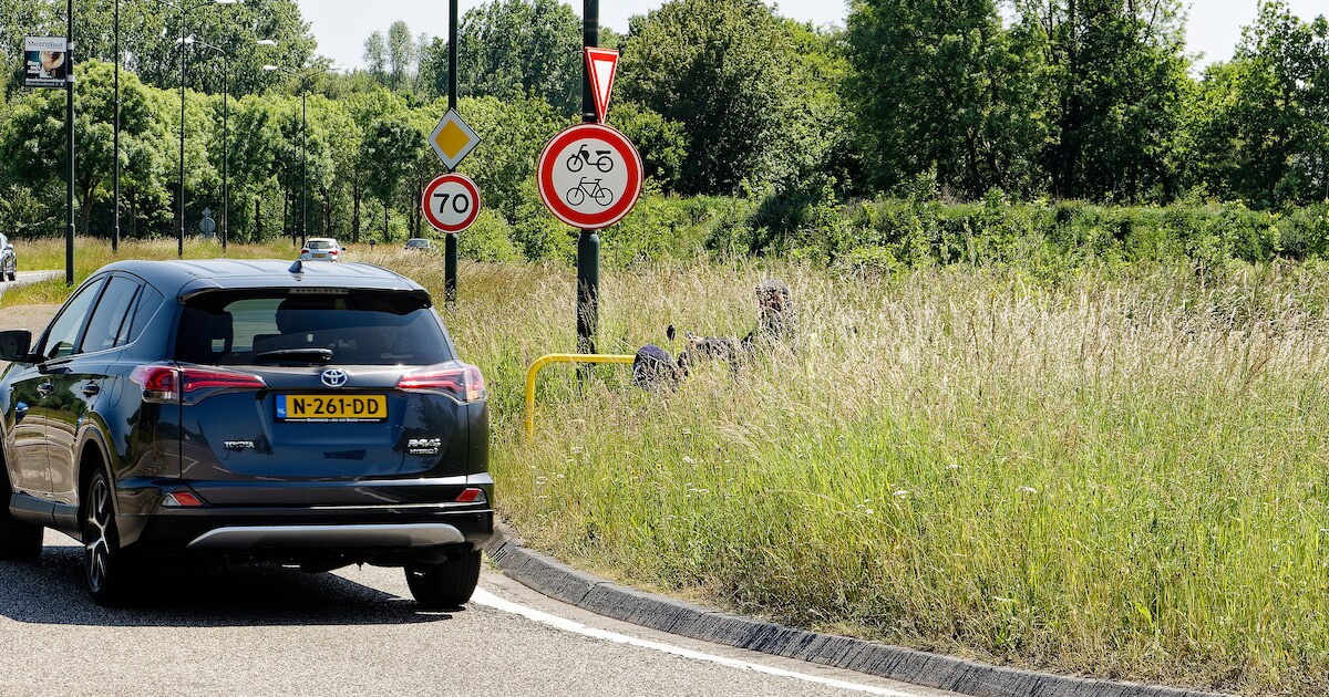Hoog bermgras Schijndel met spoed gemaaid na meerdere ongelukken ...