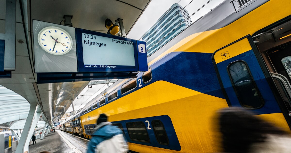 ‘K-hoer en dik varken’, man scheldt conducteur uit: ‘Tot op het bot ...