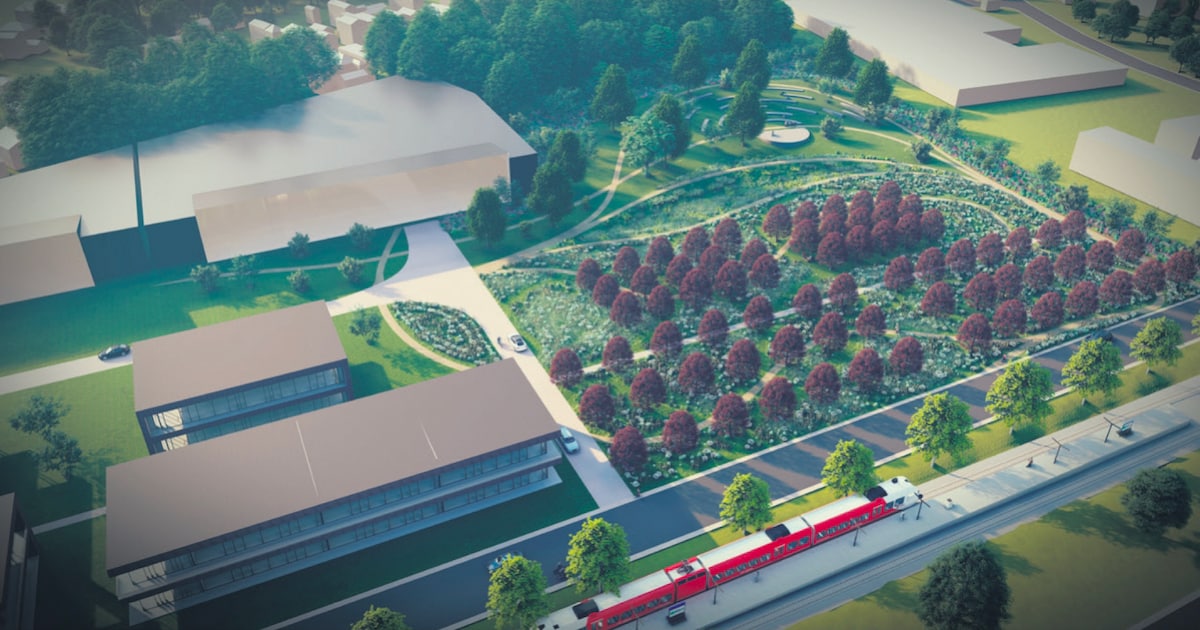 Aaltenaar plukt straks kersen, appels, walnoten en bessen in Beeles ...