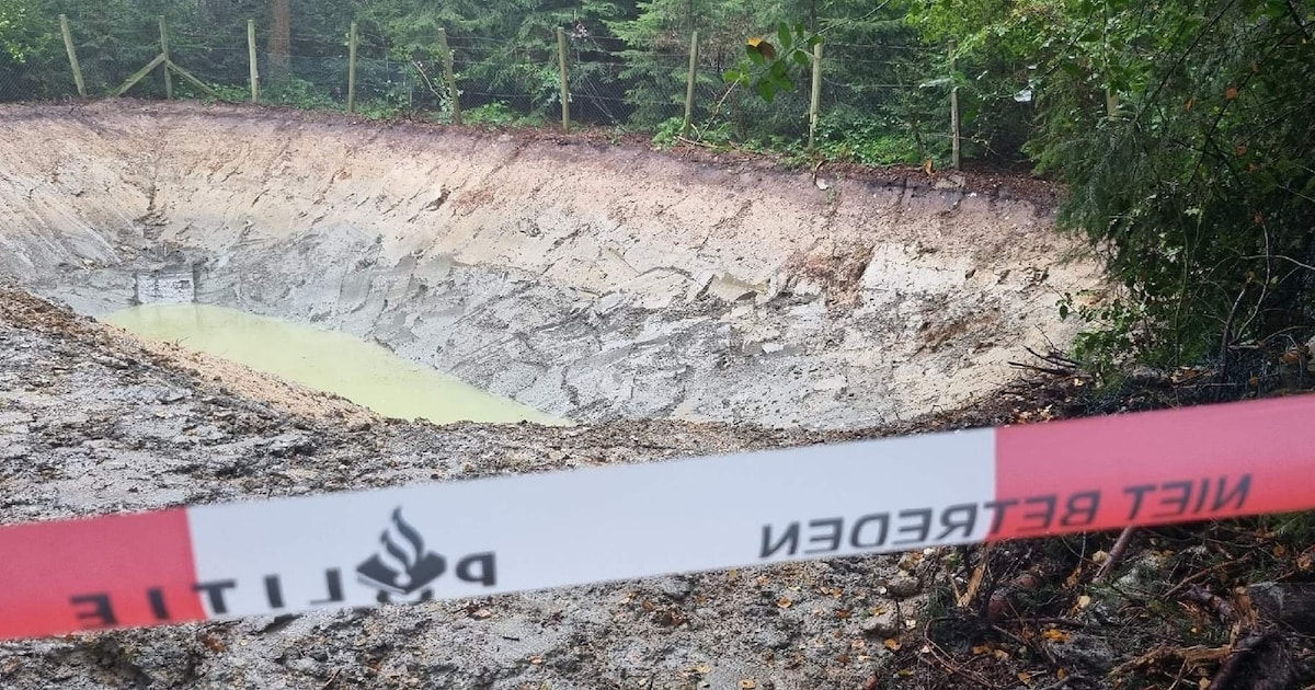 Is gigantisch gat in bos Winterswijk een grof milieuschandaal of mag ...