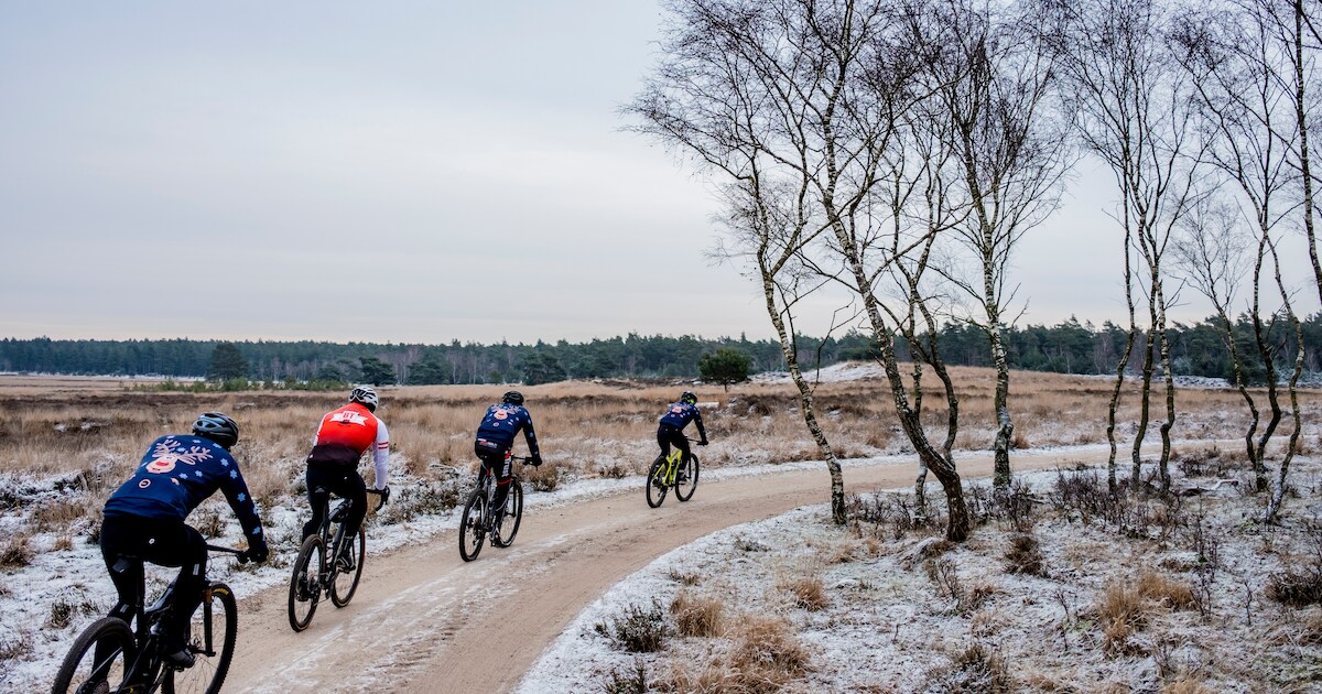 Fietsclubs werken aan eigen plan voor bossen bij Schaarsbergen: ‘Wij ...