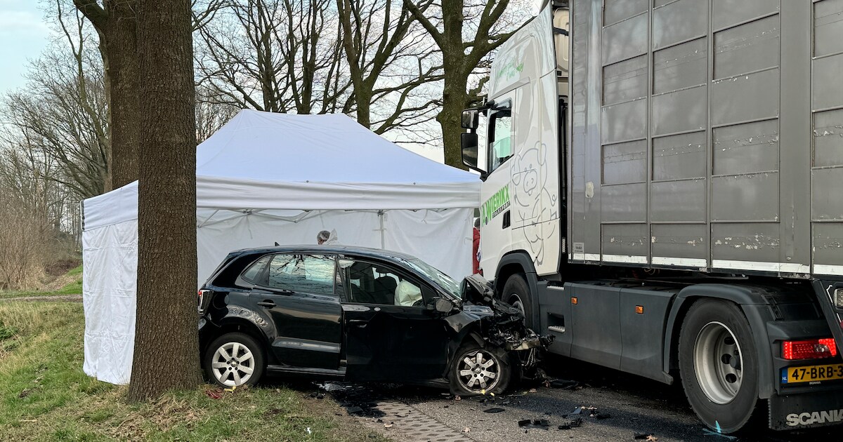 Moeder neergestoken kindjes Boekel botste met vrachtwagen van André ...