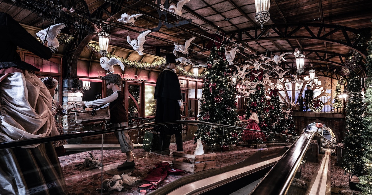 Kerstshow Intratuin 2024: dit moet je weten voor je gaat | Duiven | gelderlander.nl