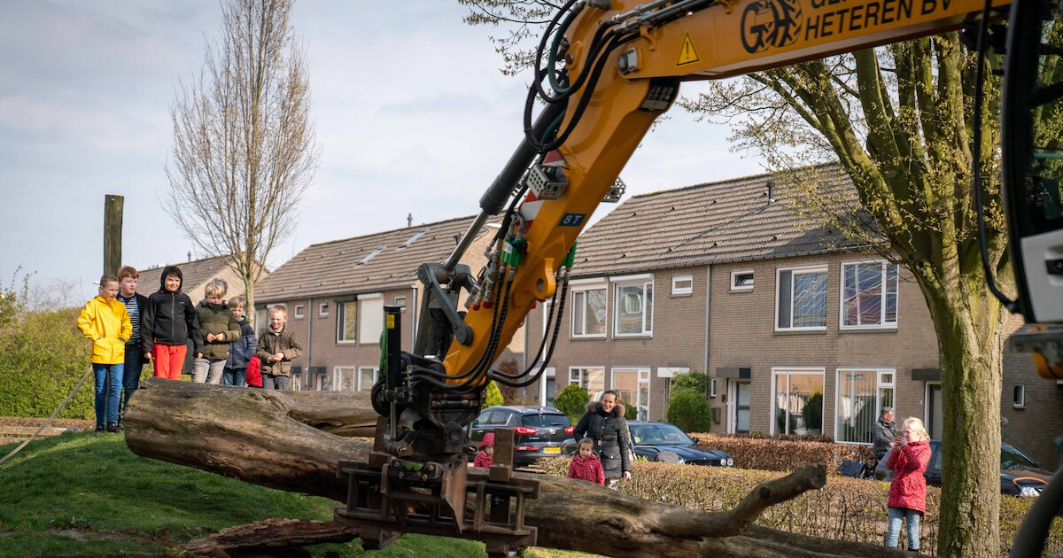 Van hang- naar ontmoetingsplek: speeltuin in Heteren in ere hersteld ...