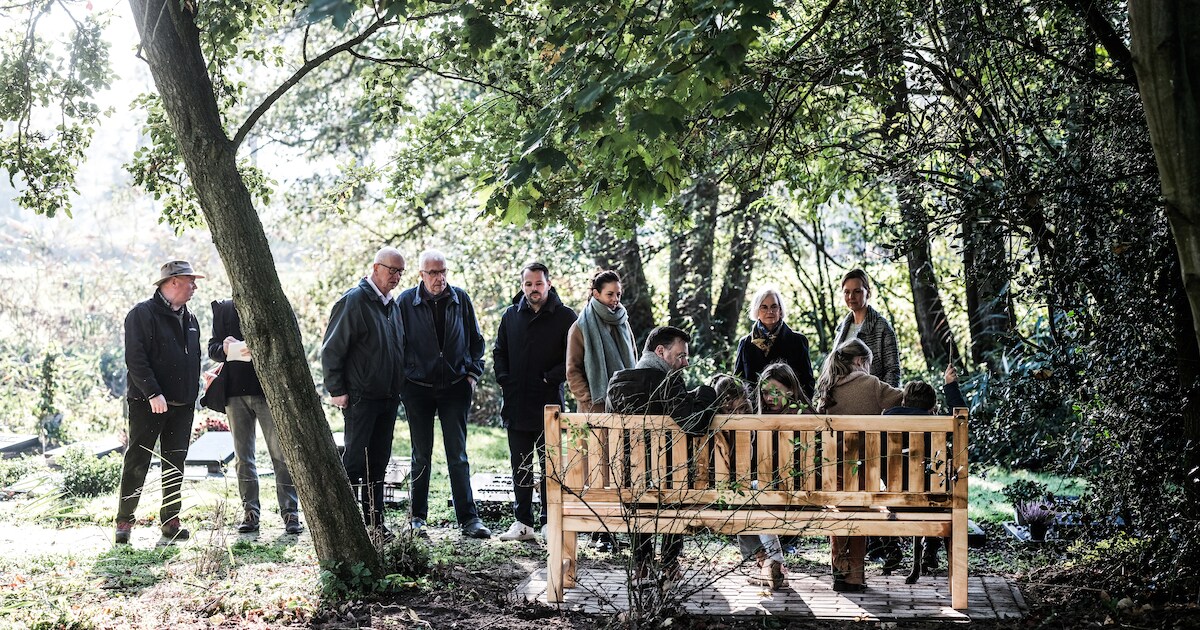 Monumentale kastanjebomen bij dorpskerk Hummelo leven voort in bankje ...