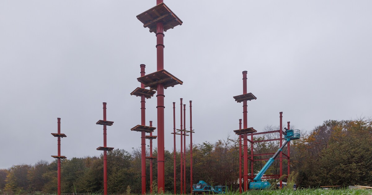 Capriolen op 12 meter hoogte: groot klimpark verrijst in Bosschenhoofd ...