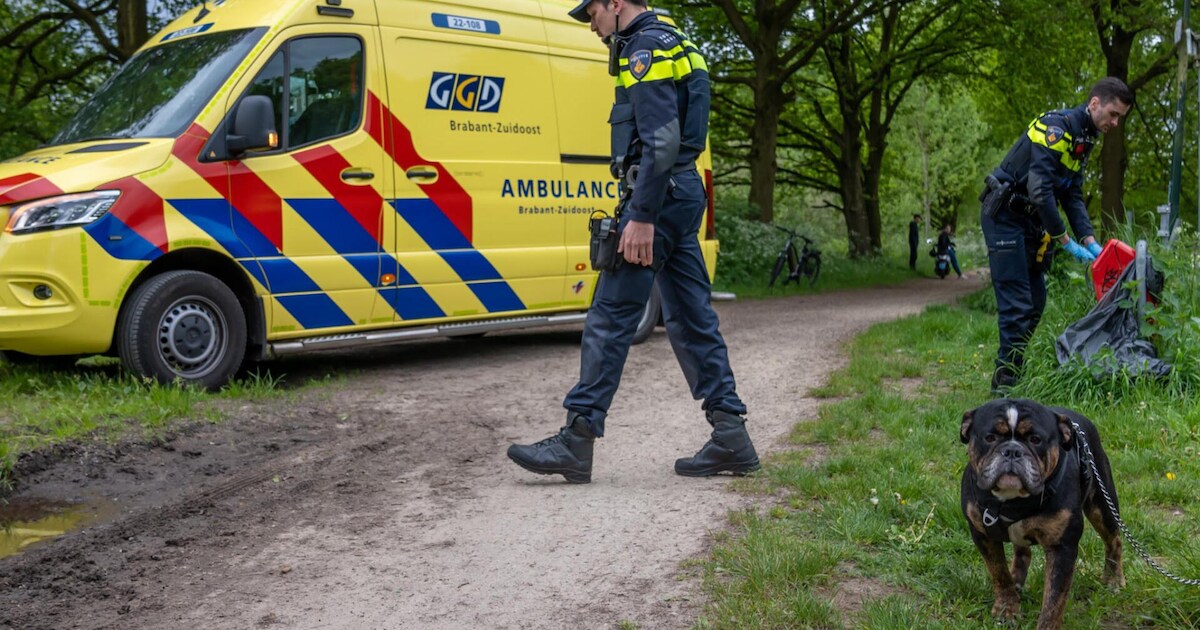 Hond springt tijdens uitlaatronde in kanaal, bazin duikt er achteraan ...
