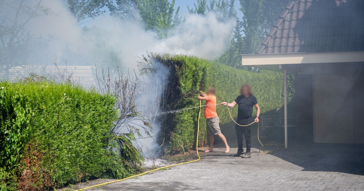 Conifeer vat vlam aan de Oude Zevenaarseweg in Zevenaar | 112 nieuws ...