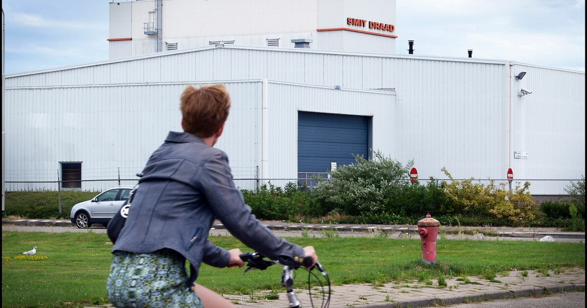 Personeel eist opstappen directeur Smit Draad | Nijmegen | De ...