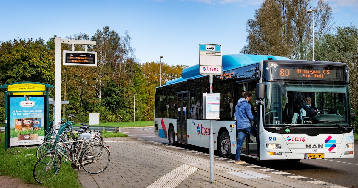 Weer busproblemen in polder door werk aan de weg: Millingenaren moeten ...