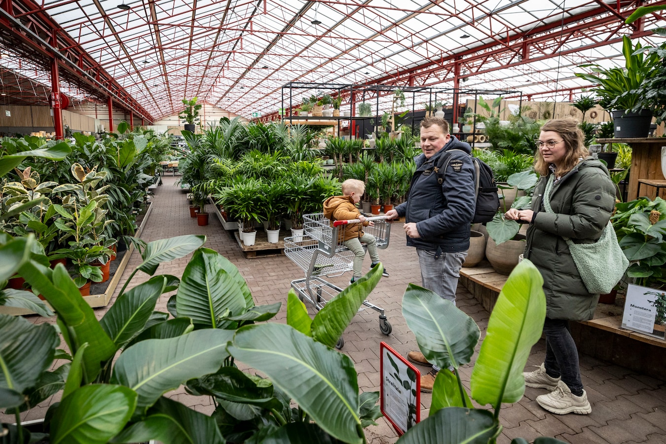 Dit doen tuincentra met de uitbundige kerstdorpen en duizenden ...