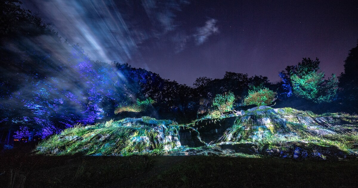 Kunstwerken van licht en geluid met een ecologische boodschap te zien ...