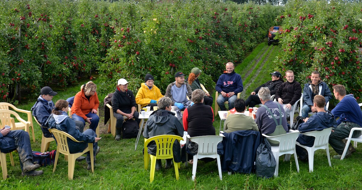 Meer arbeidsmigranten dan verwacht staan ingeschreven in Neder-Betuwe ...