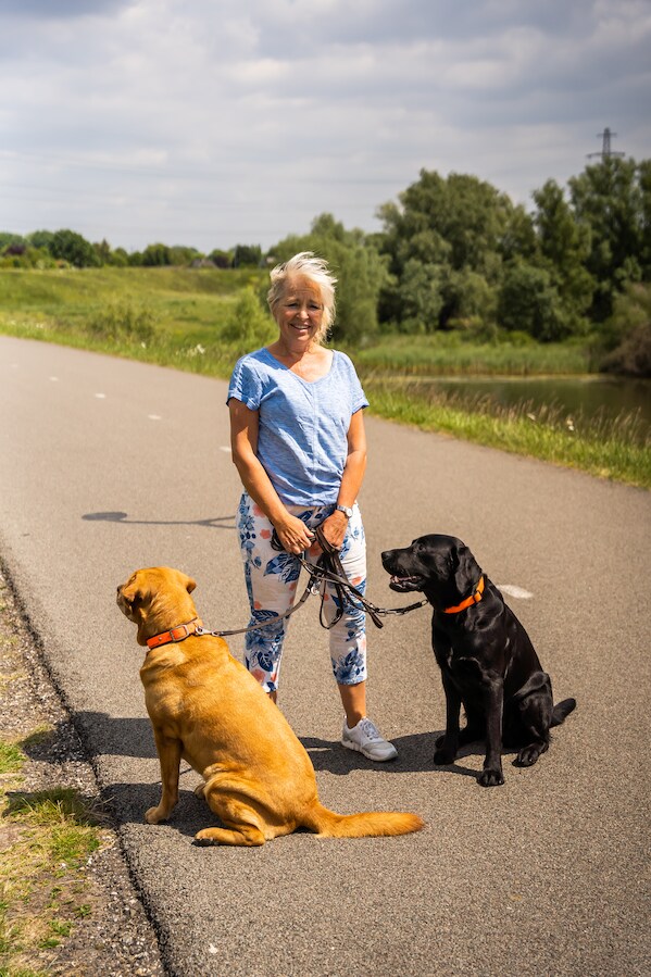Lingewaard zet bouwplan Zandsestraat toch door: ‘Weer mooi stukje ...