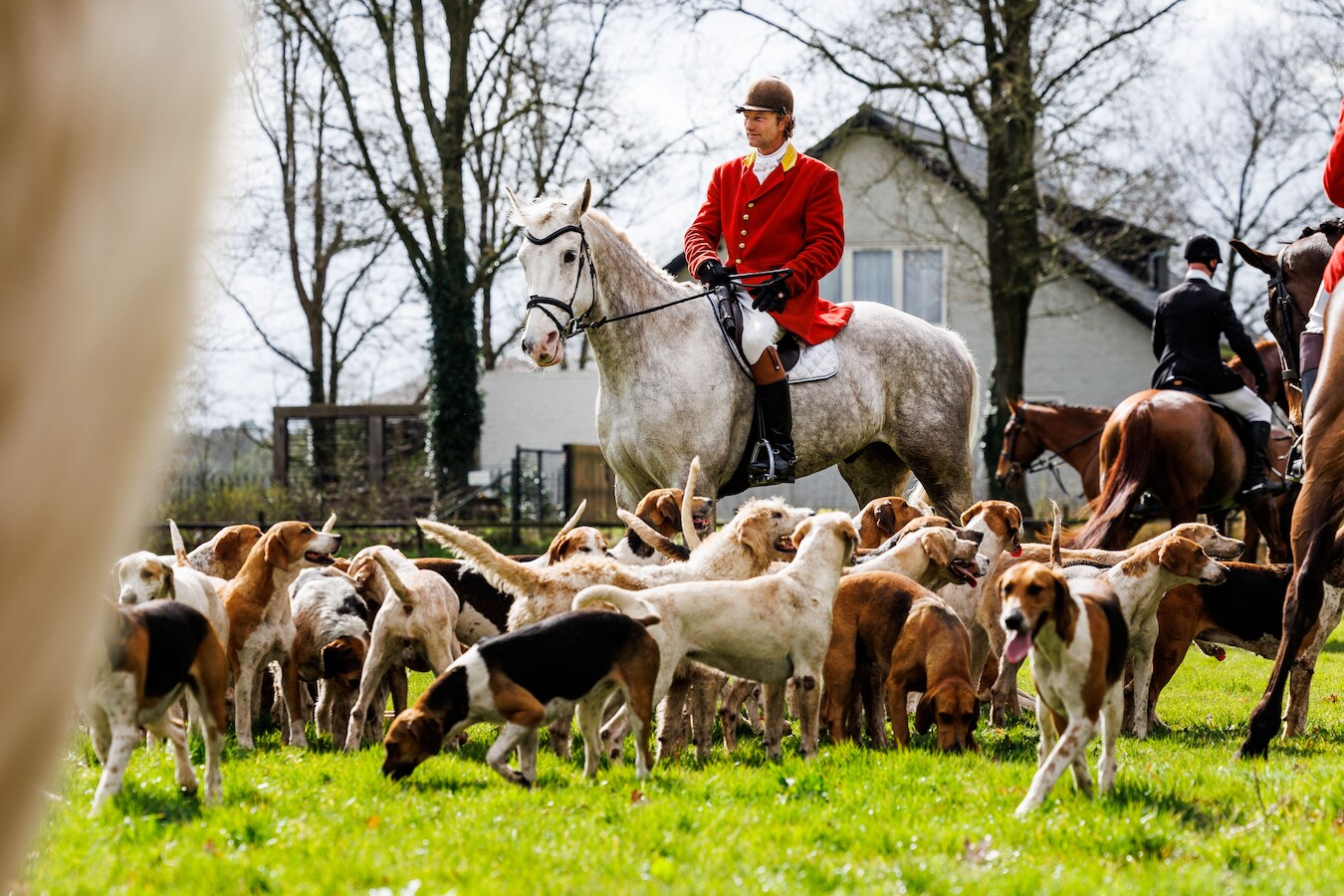 Ruiters en honden trekken om broedende scholekster heen, maar ...