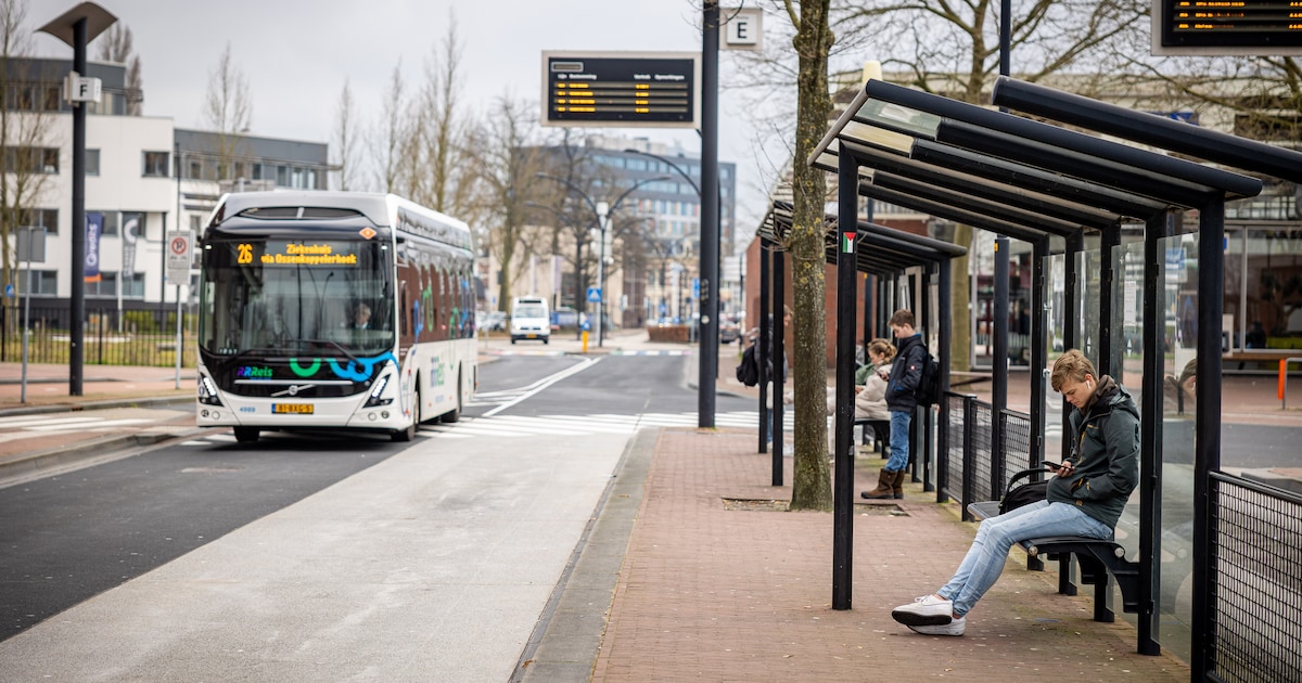 Nieuwe tarieven RRReis bussen in Veluwe Zuid | Arnhem | De Gelderlander.nl