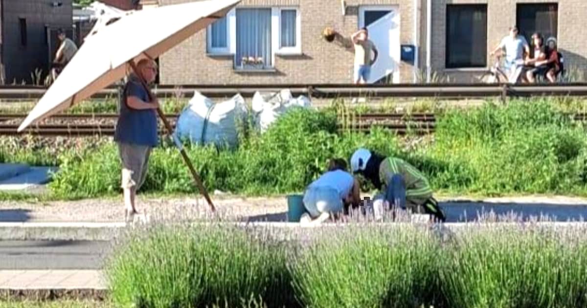 Volop lof voor man met parasol bij busdrama België: ‘Je doet wat nodig ...