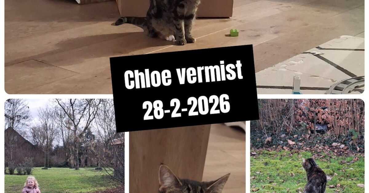 Heb jij Chloe of Mowgli gezien? Deze twee huisdieren worden in Aalten ...